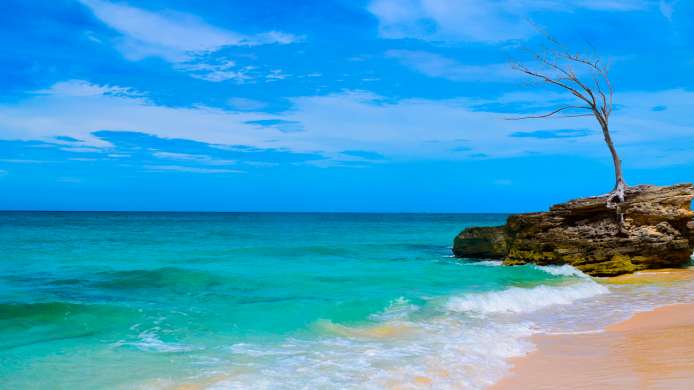 O que ver e o que fazer nas Bahamas | Costa Cruzeiros