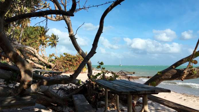 As melhores praias de Miami | Costa Cruzeiros