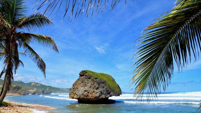 O que fazer em Barbados: Top 14 atrações | Costa Cruzeiros