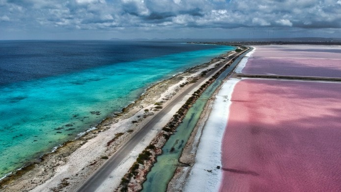 A ilha de Bonaire: descubra o mar do Caribe | C-Magazine
