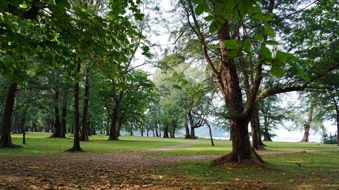 As 14 coisas para ver em Phuket | Costa Cruzeiros