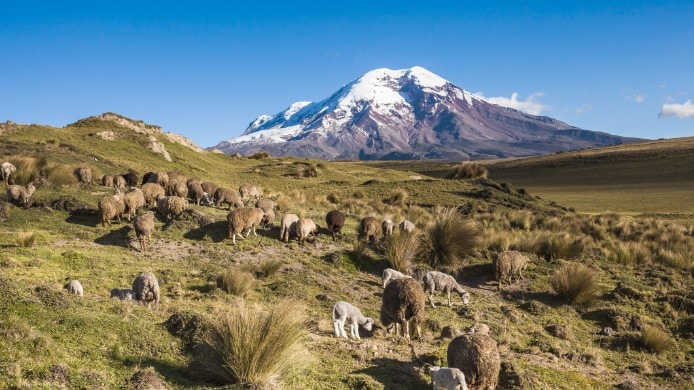Chimborazo | C-Magazine