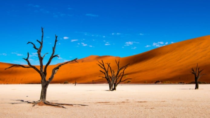 Deserto da Namíbia | C-Magazine
