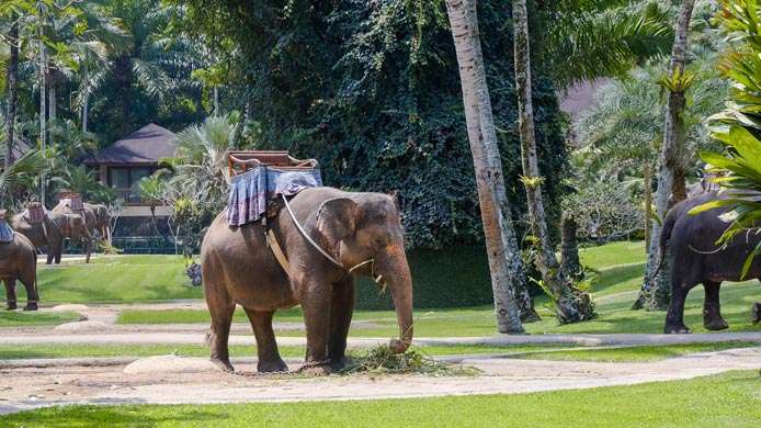 O que fazer em Bali: Top 24 atrações | Costa Cruzeiros